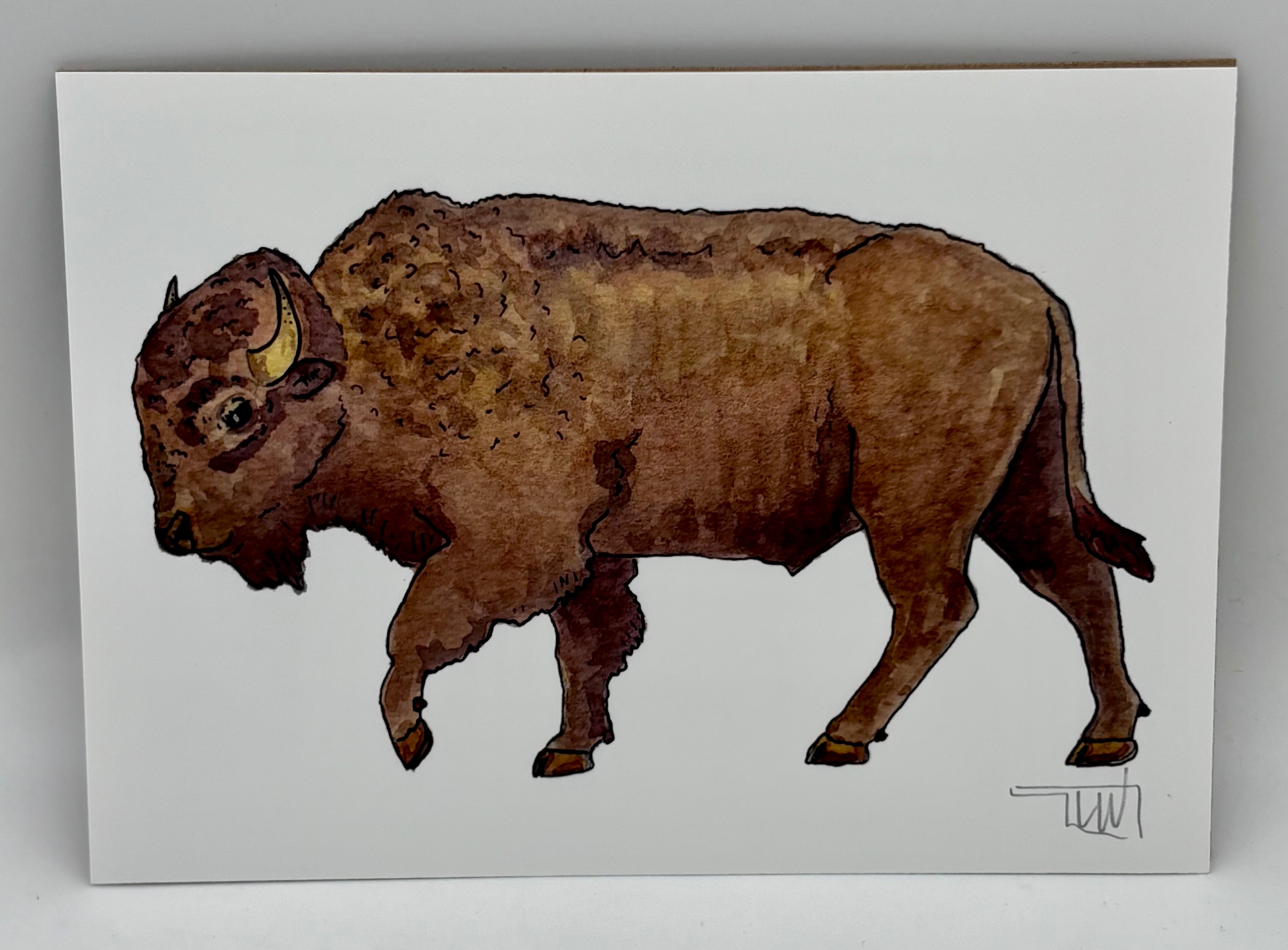 Buffalo Full Body Watercolor Print – Blessed Buffalo Boutique