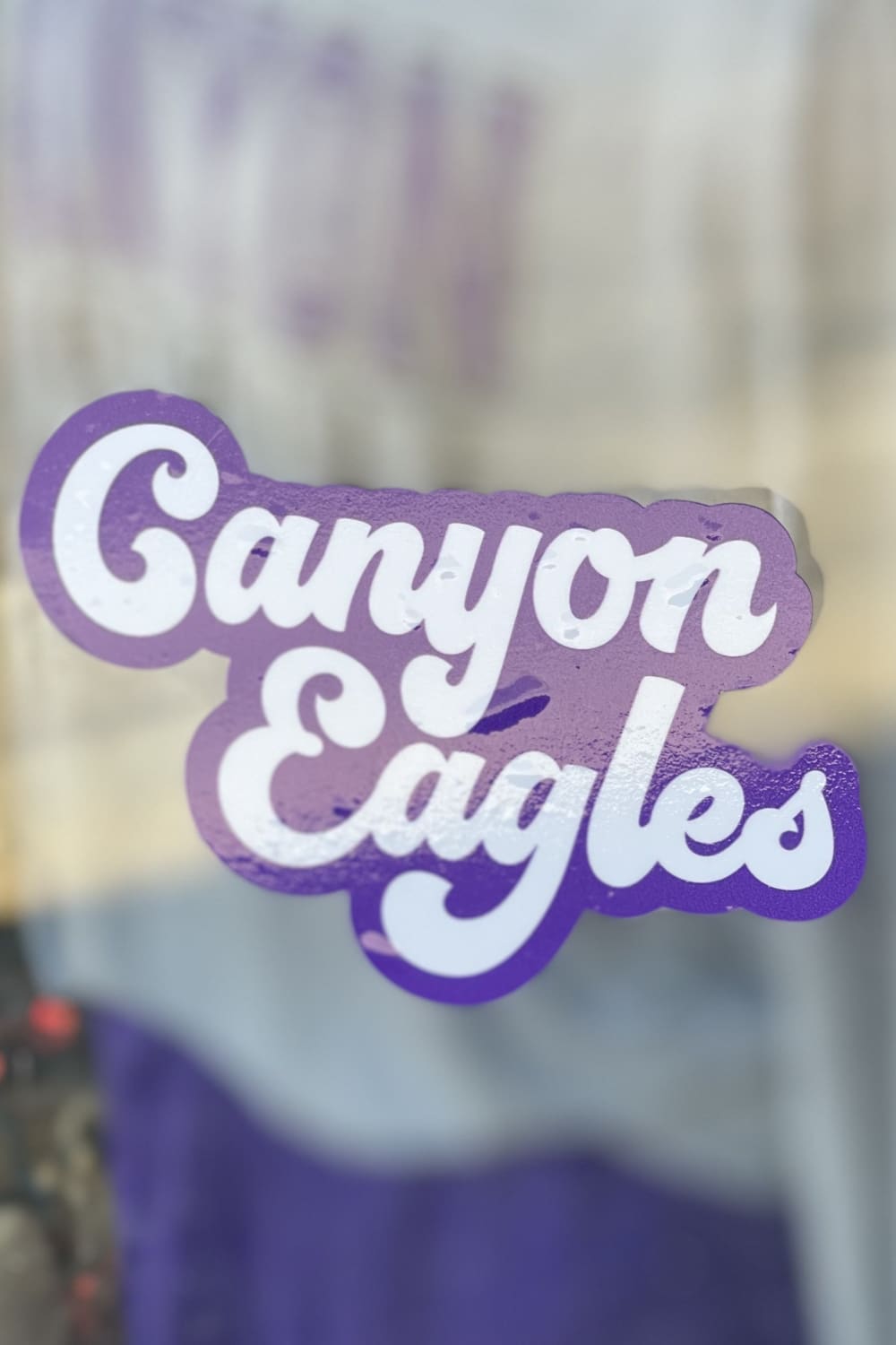 Canyon Eagles Retro Decal - Auto Accessory - Blessed Buffalo – Blessed ...
